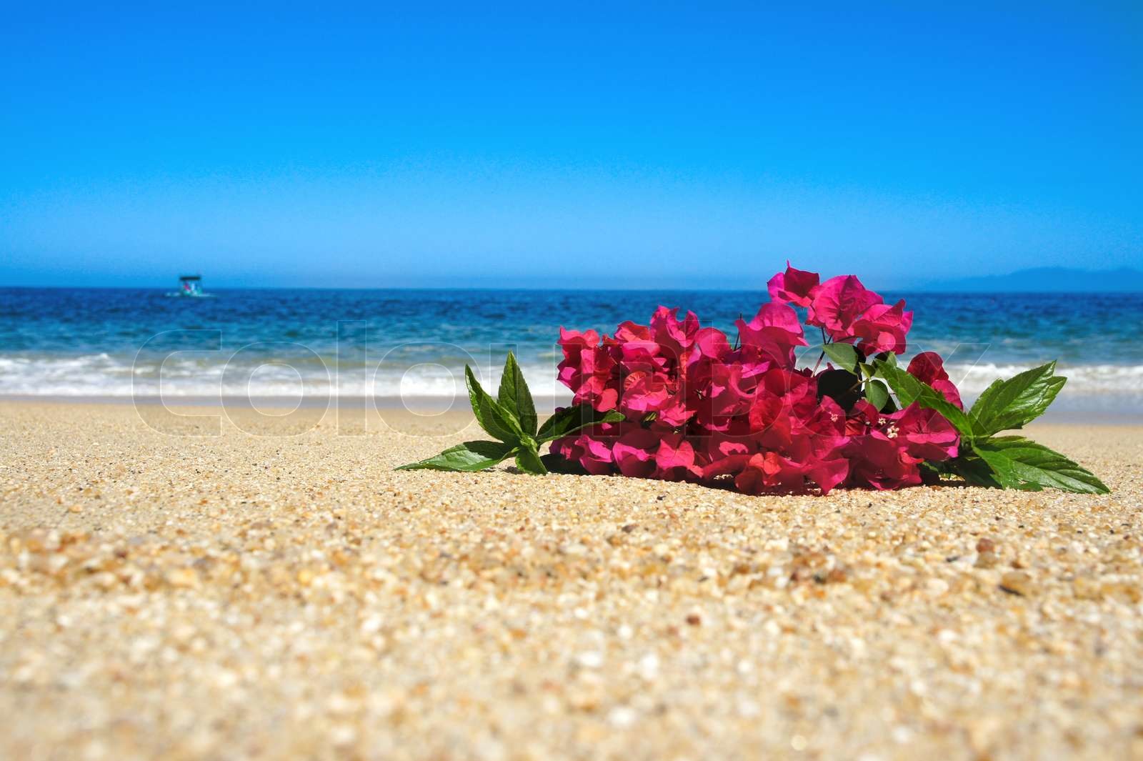 tropischen Strand-Blumen, die Verlegung in Sand mit Wellen und blauer ...