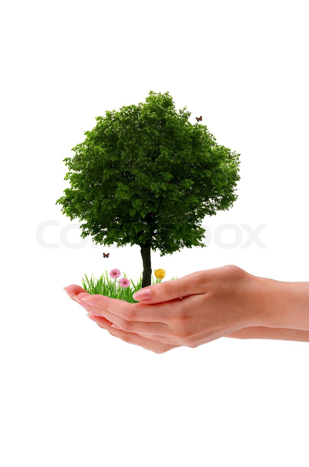 Tree - Hand | Stock image | Colourbox