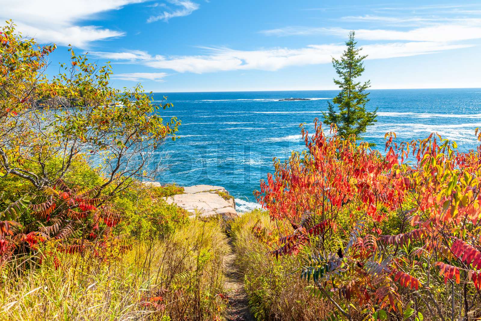 Acadia National Park aerial view in foliage season. Lake and tree ...