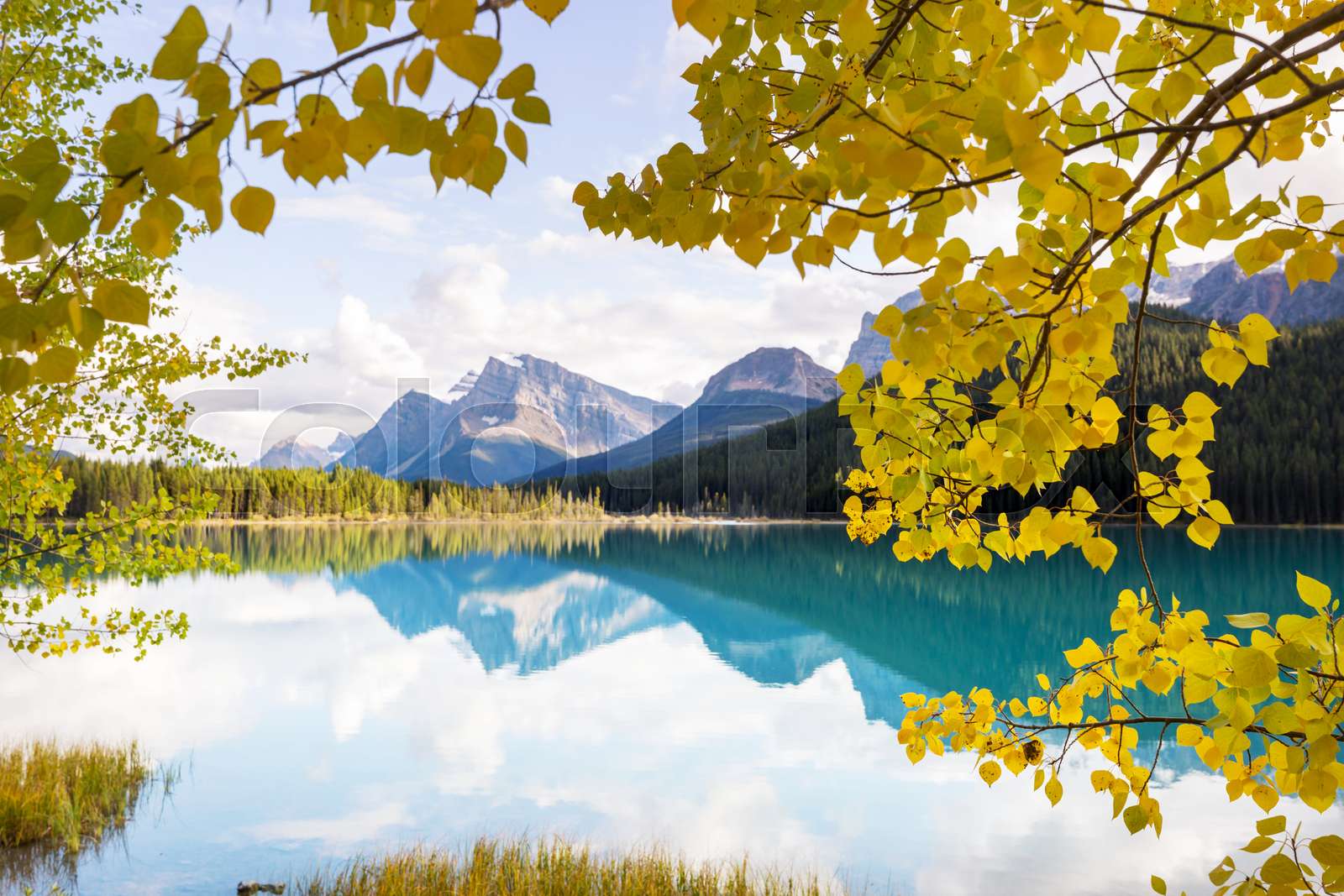 Autumn in Canada | Stock image | Colourbox
