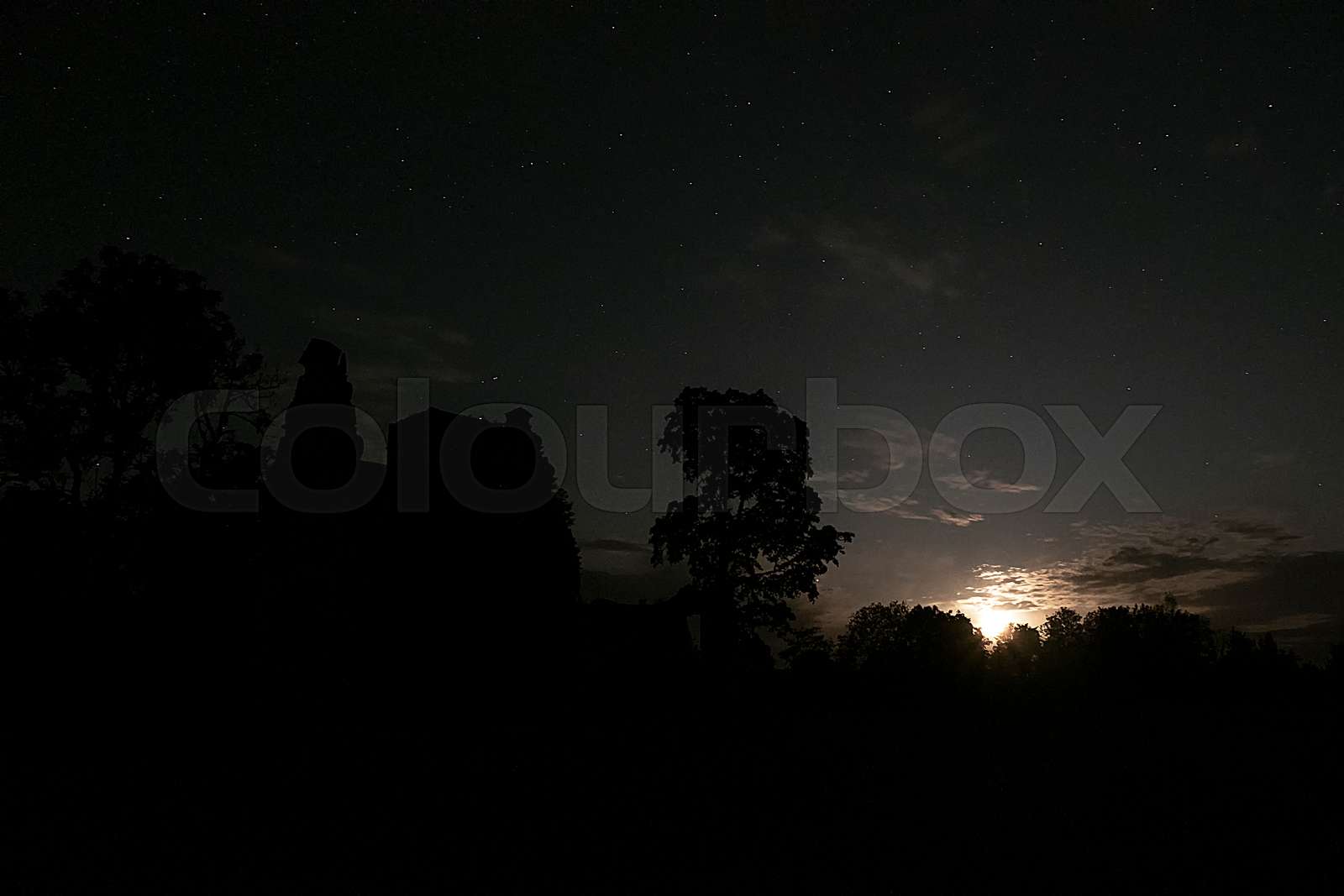 beautiful and wonderful dark night | Stock image | Colourbox