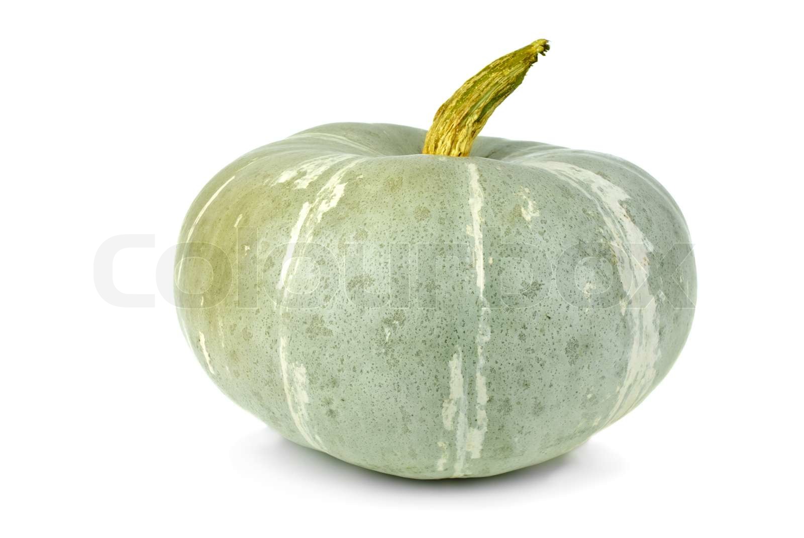 Unripe green pumpkin | Stock image | Colourbox
