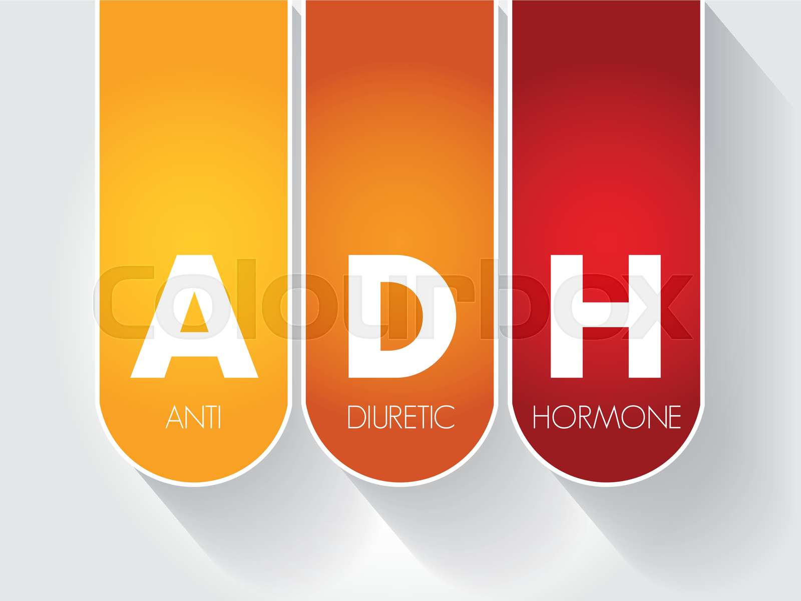 ADH - Antidiuretic Hormone acronym | Stock vector | Colourbox