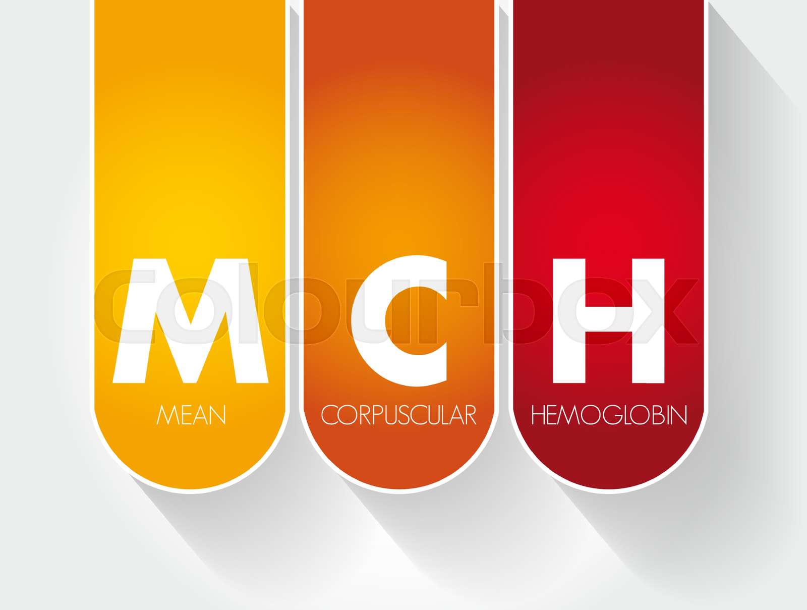 MCH - Mean Corpuscular Hemoglobin acronym | Stock vector | Colourbox