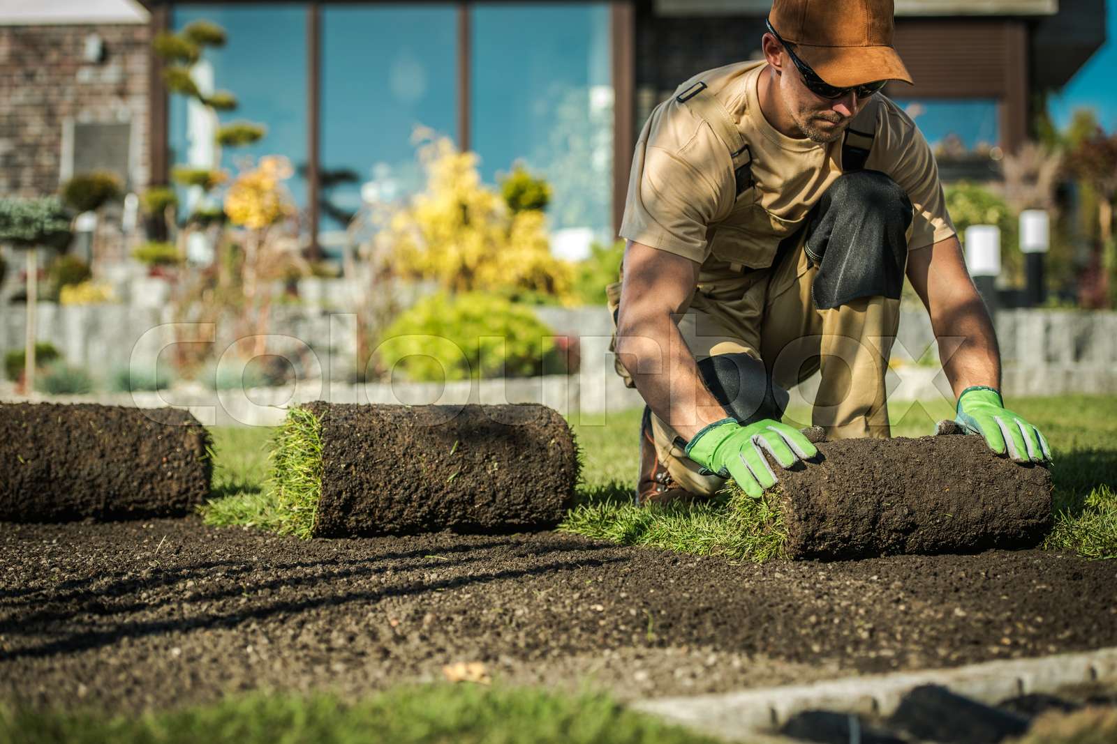 Natural Grass Installation | Stock image | Colourbox