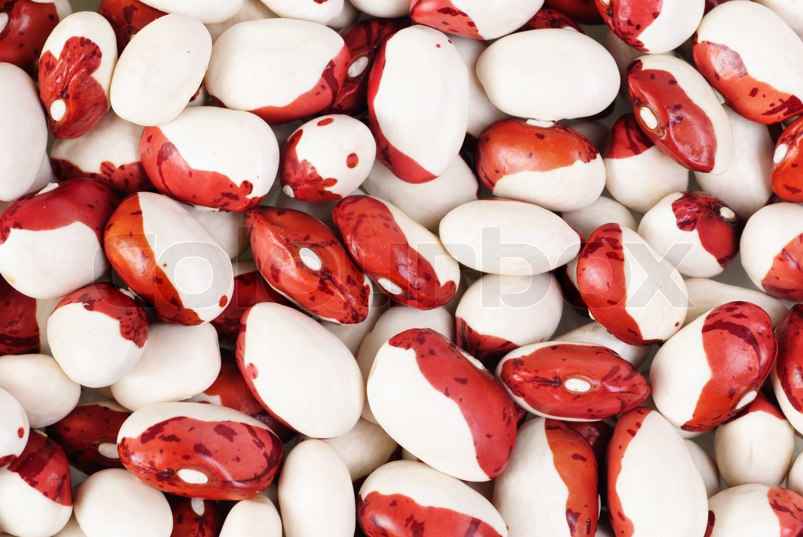 Haricot beansasfoodbackground | Stock image | Colourbox