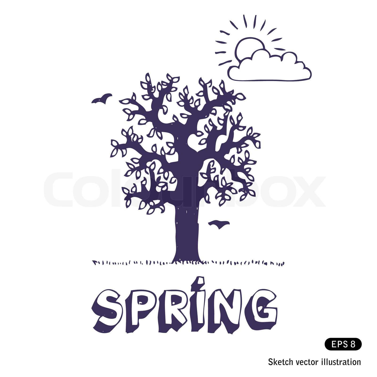 Spring Tree Stock Vector Colourbox