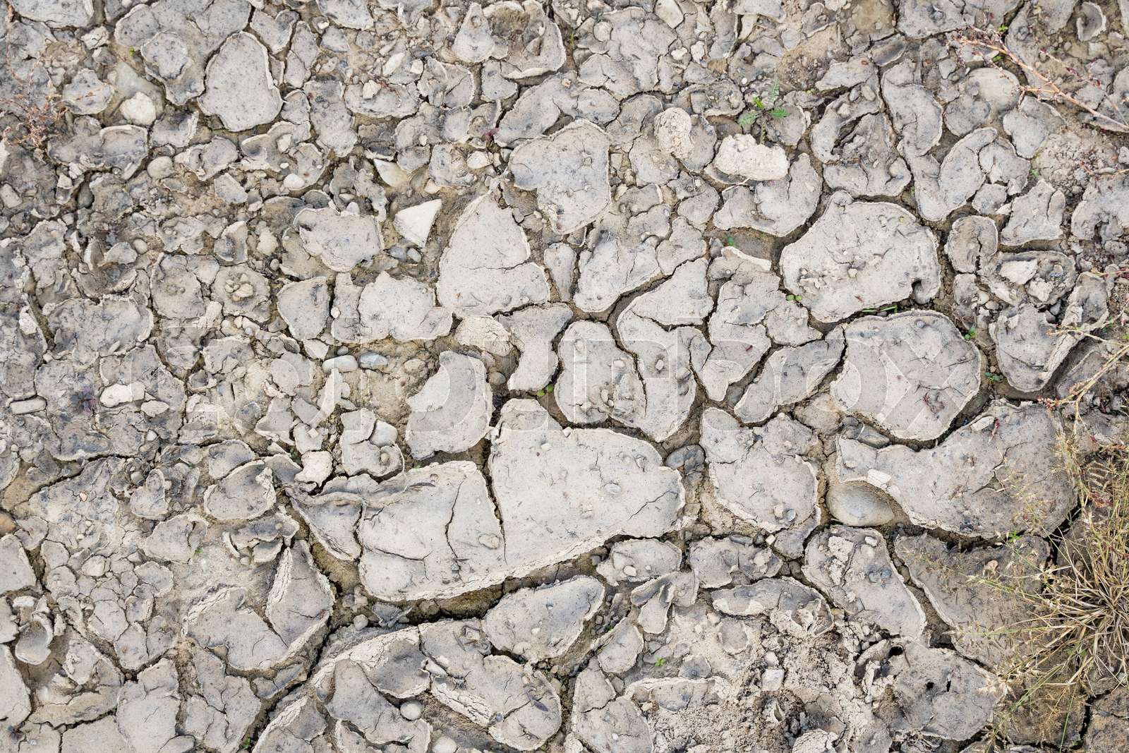 boden, außen-, terrain | Stock Bild | Colourbox
