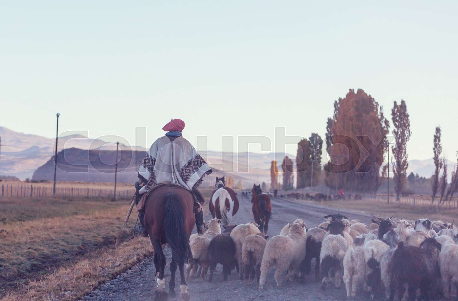 Gaucho | Stock image | Colourbox