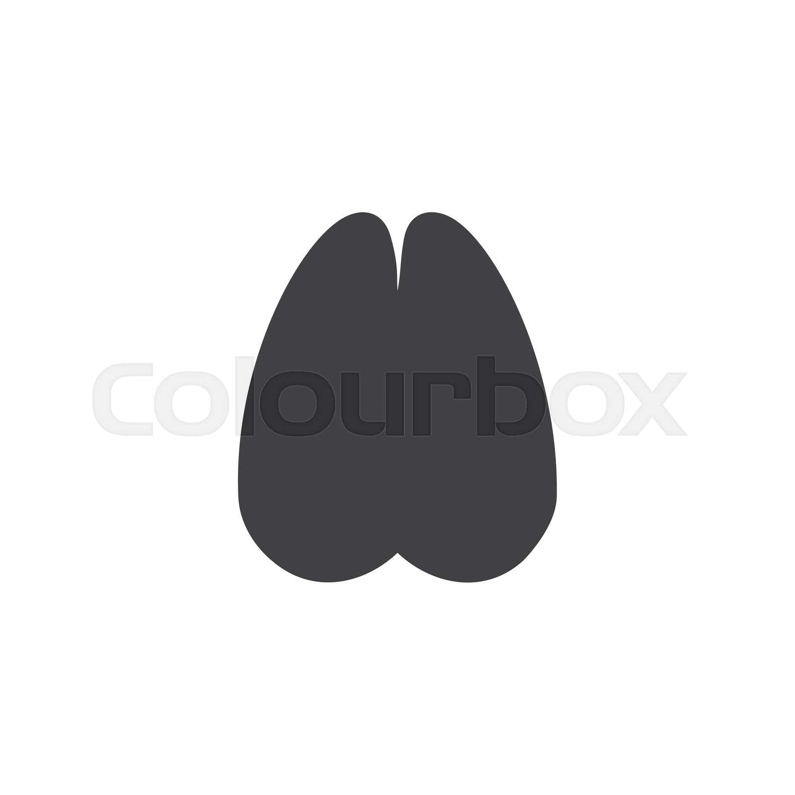 Camel paw print vector icon | Stock vector | Colourbox