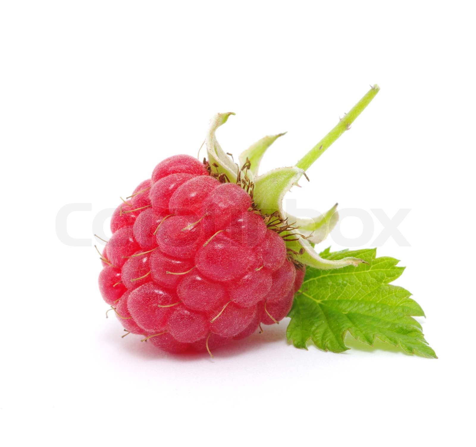 Raspberry | Stock image | Colourbox