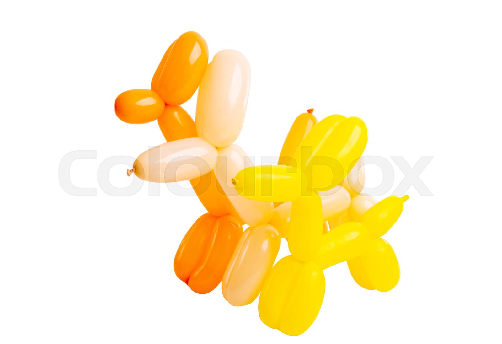 dogs from balloons isolated | Stock image | Colourbox