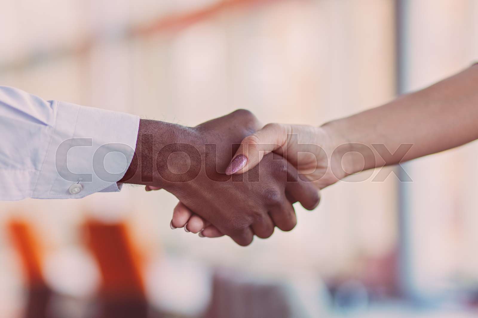 Handshake between african and a caucasian man. | Stock image | Colourbox