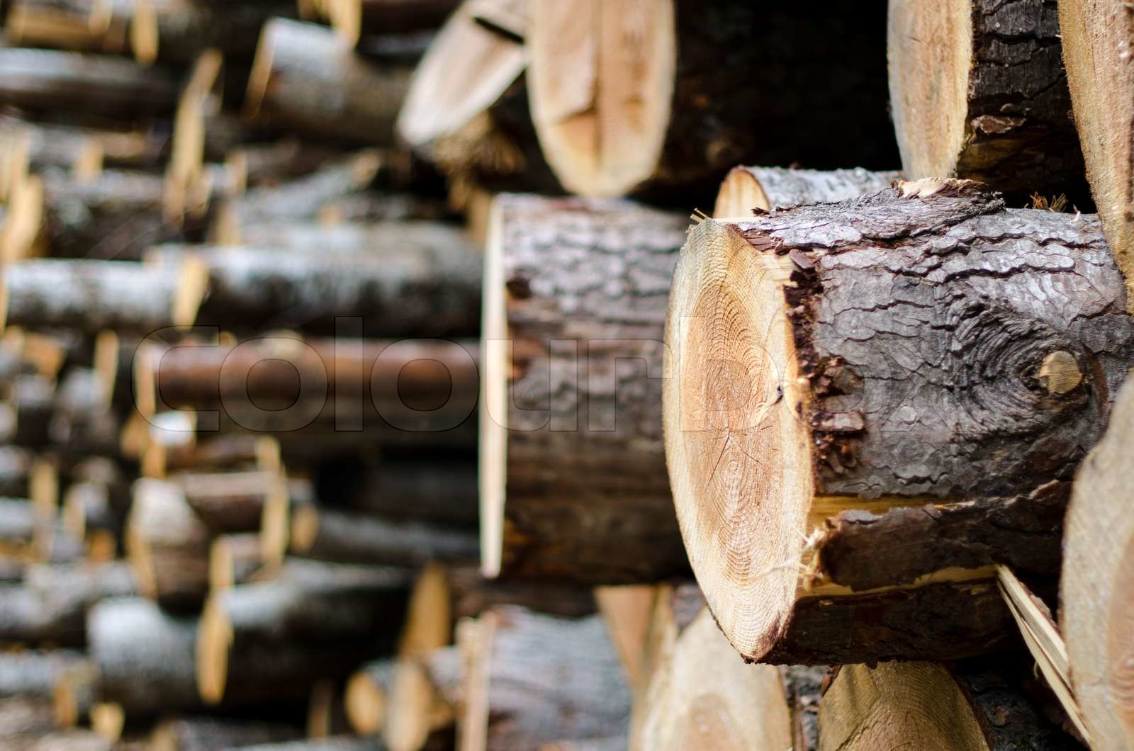 Wood pile | Stock image | Colourbox