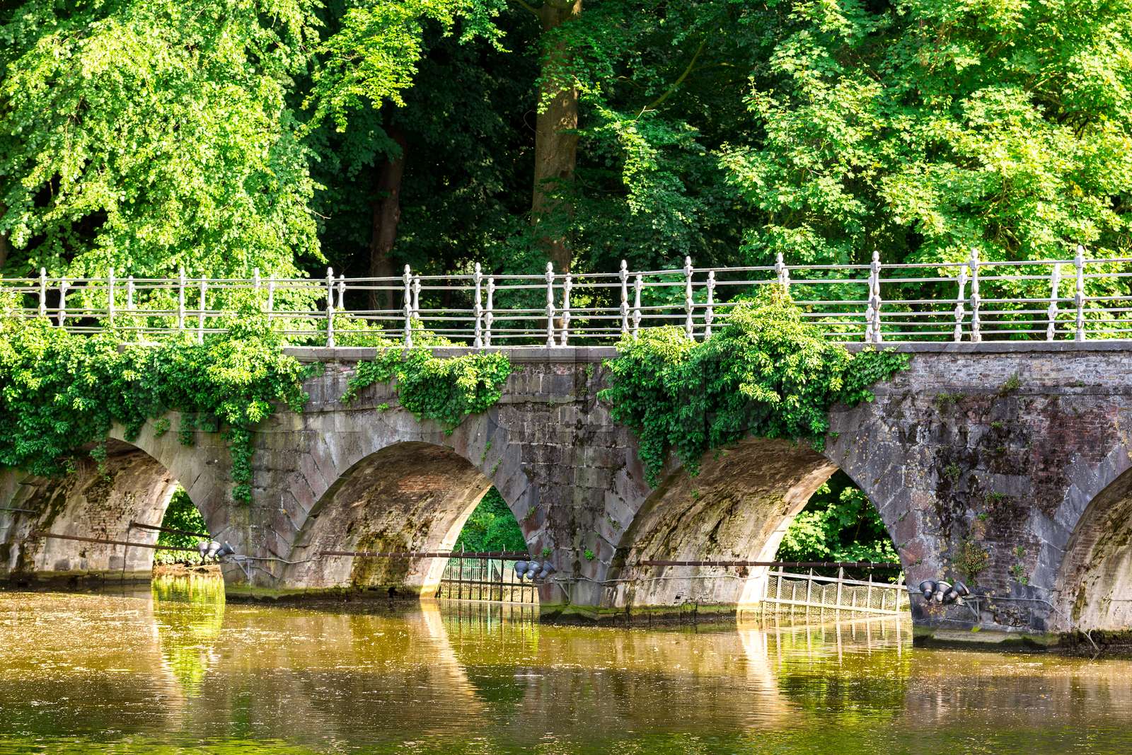 Park with stone bridge, old European town | Stock image | Colourbox