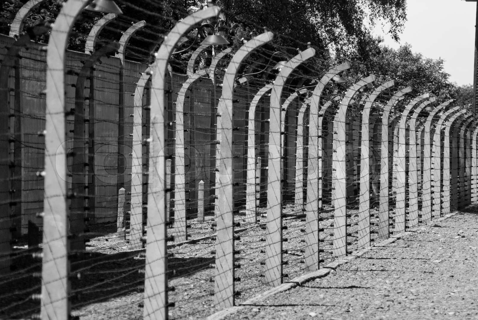 Barbed Wire Fence Concentration Camp