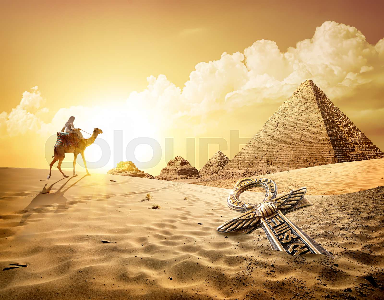 Camel near pyramids | Stock image | Colourbox
