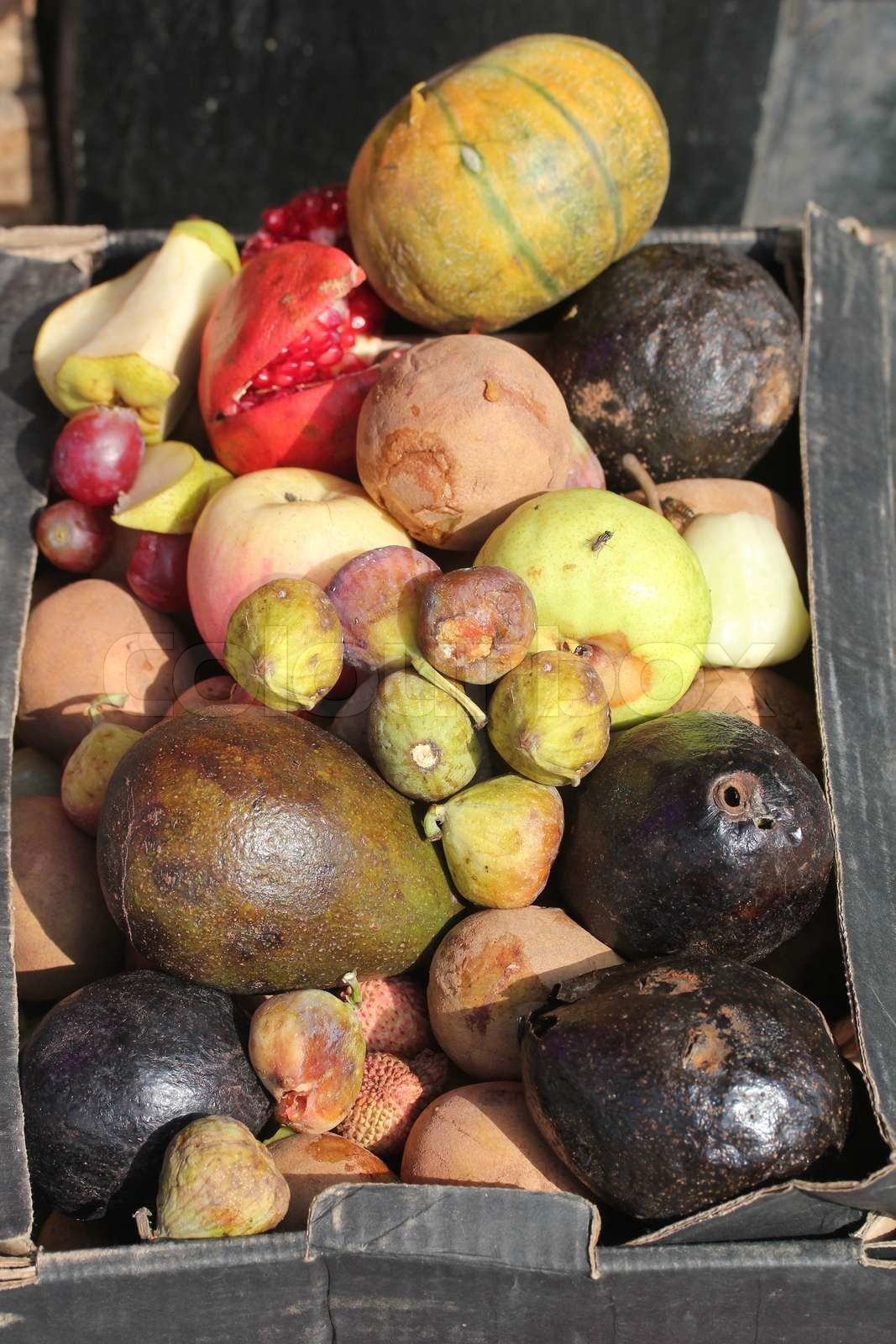 Dying and decaying fruits in a box as garbage | Stock image | Colourbox