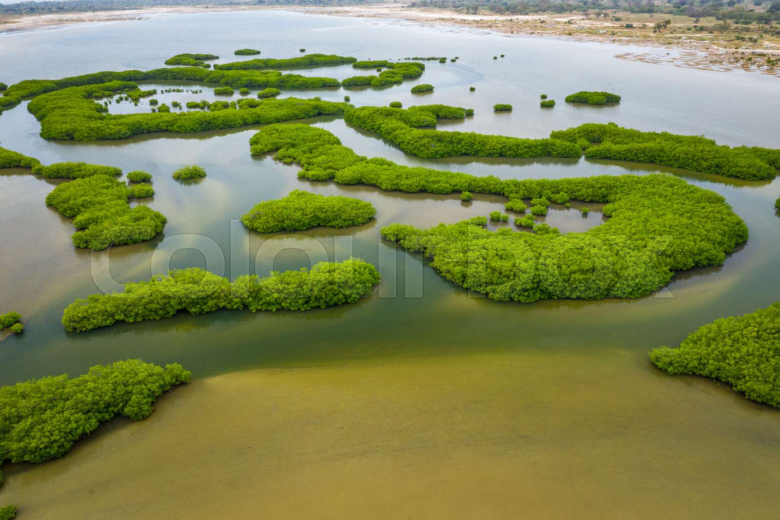 Aerial view of mangrove forest in the Saloum Delta National Park, Joal ...