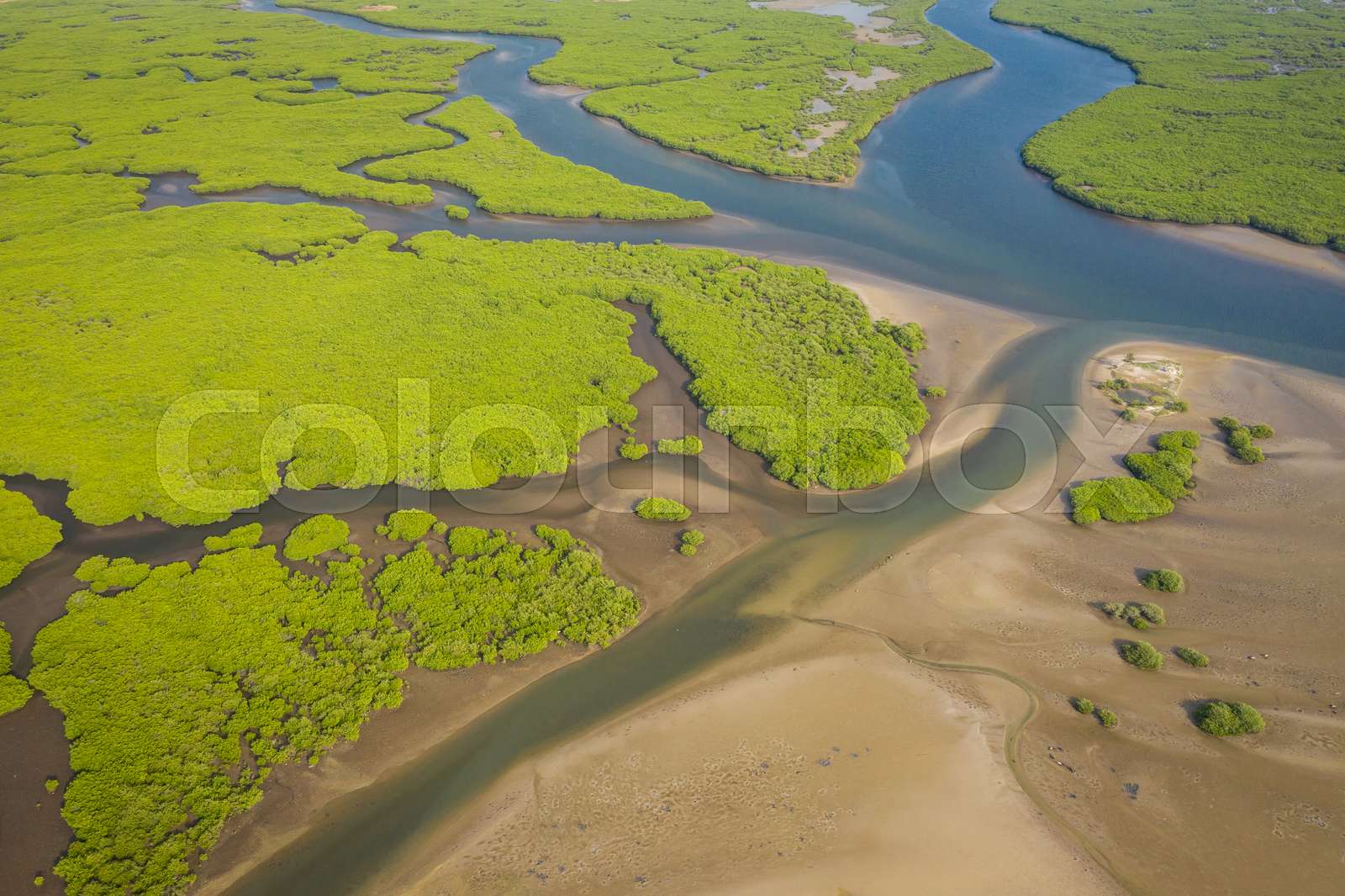 Aerial view of mangrove forest in the Saloum Delta National Park, Joal ...