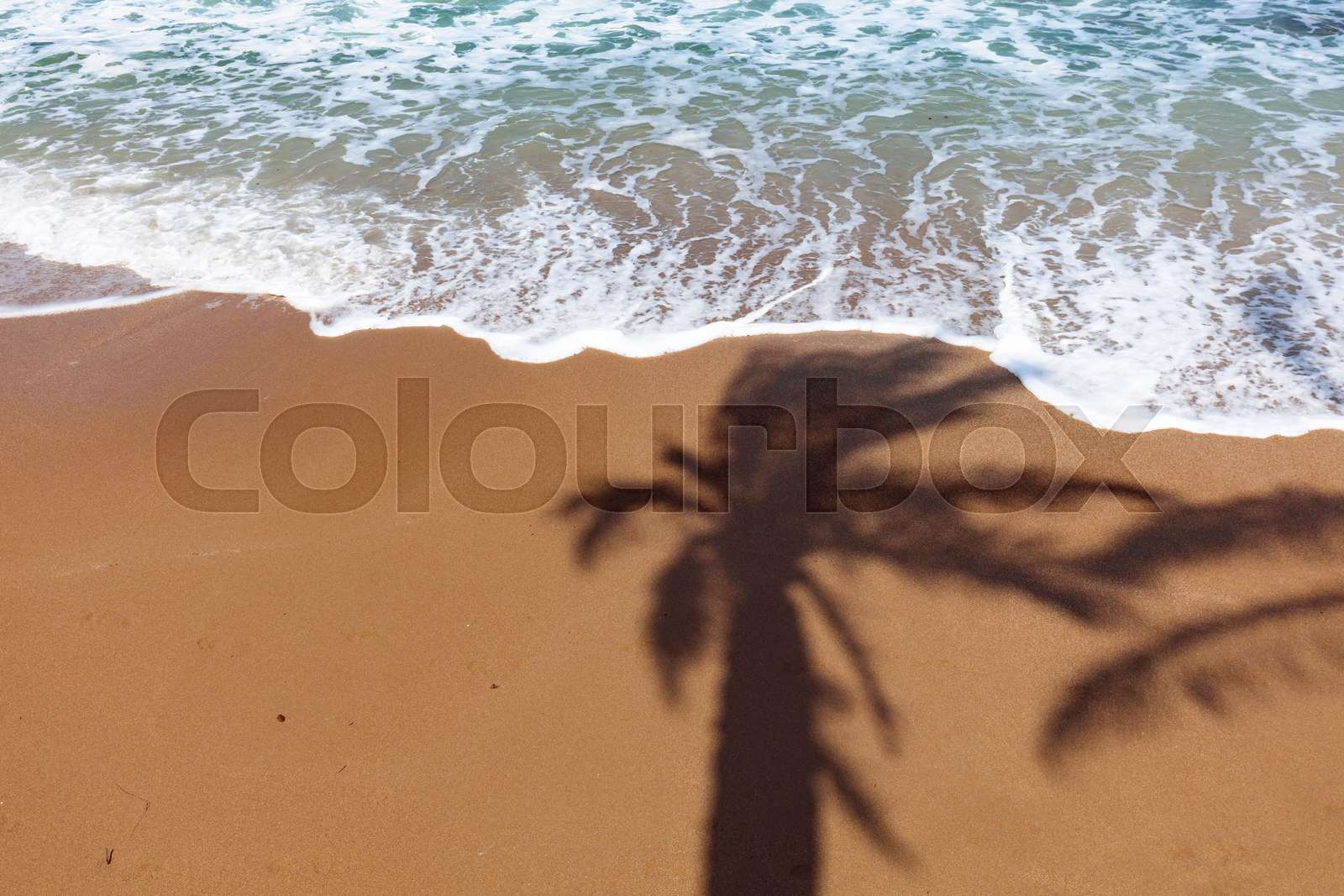 Pristine tropical beach with palm trees shadows on a sand. | Stock ...