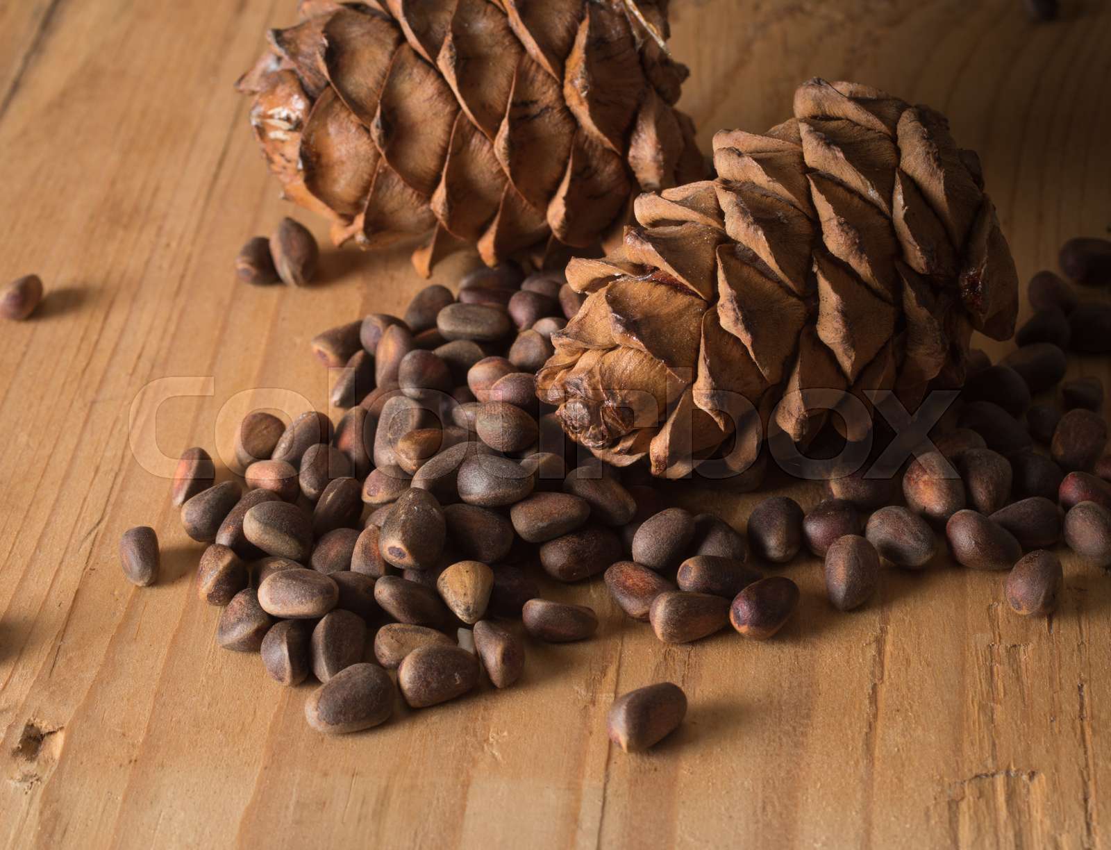 Cedar nuts | Stock image | Colourbox