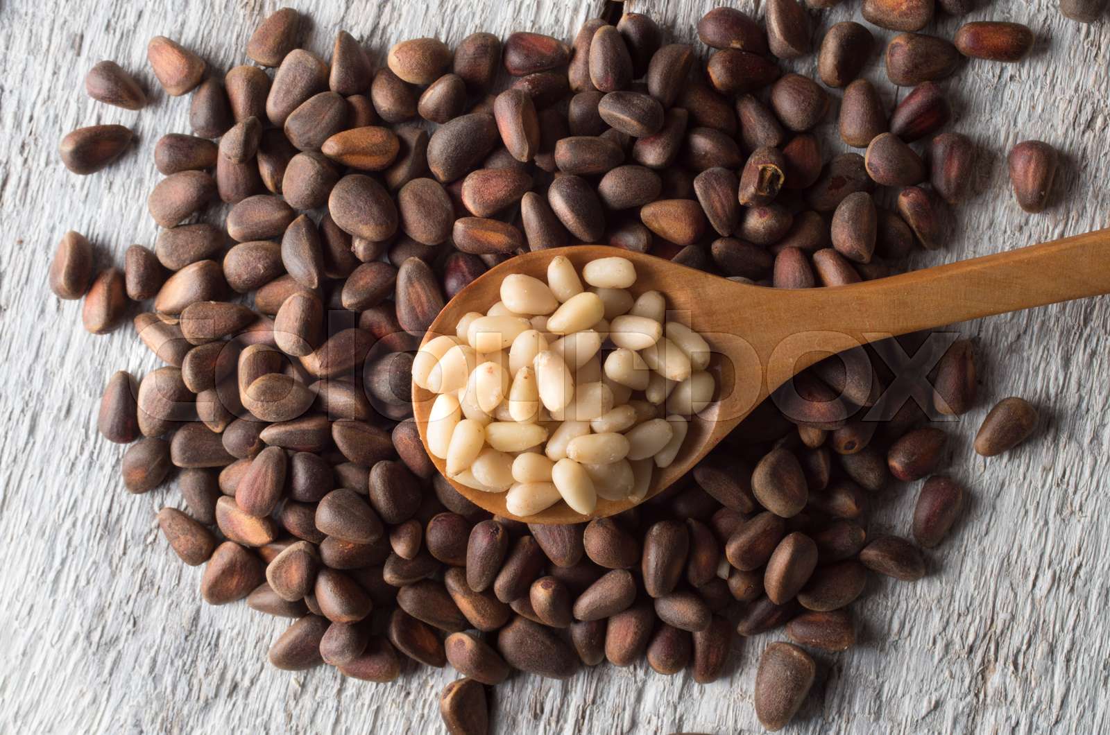 Cedar nuts | Stock image | Colourbox