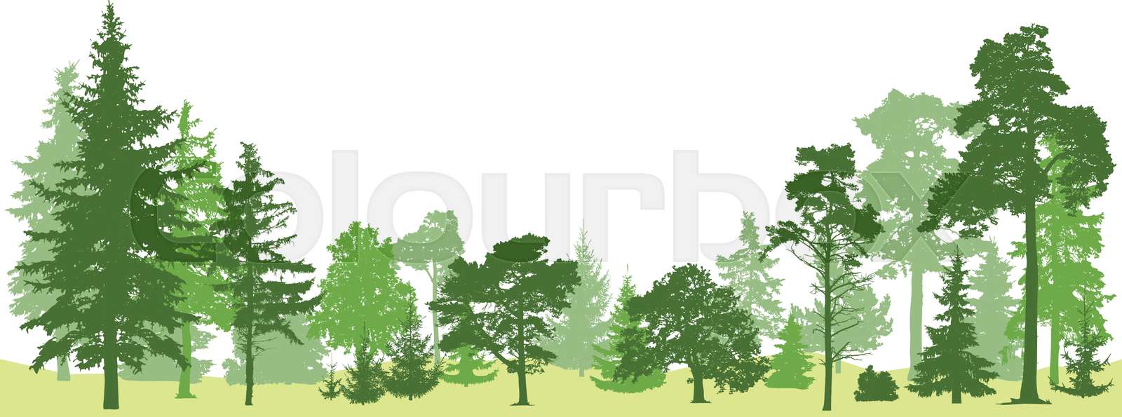 Tree forest vector. Isolated set trees evergreen pine | Stock vector ...