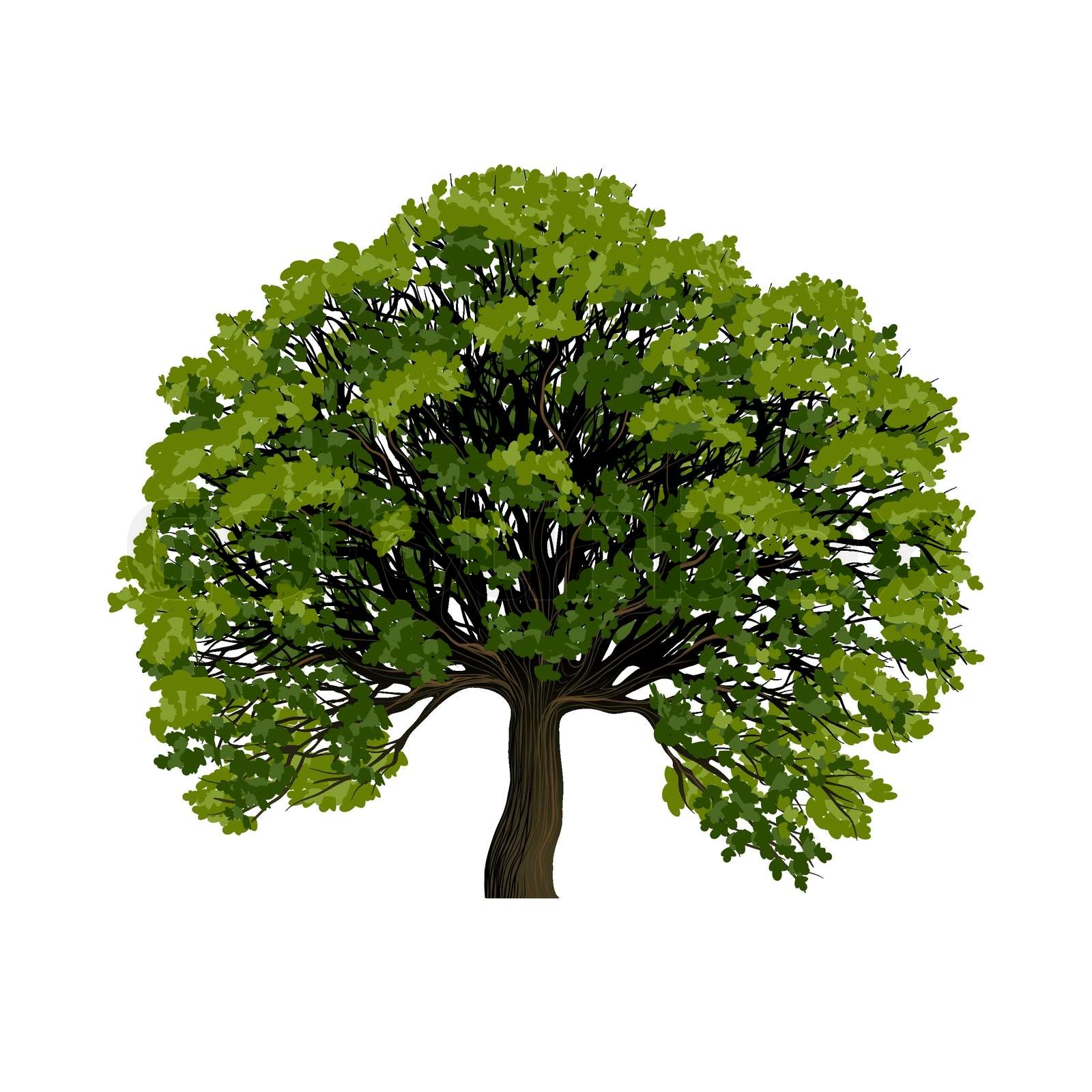 große grüne Baum-Vektor-symbol | Stock-Vektor | Colourbox