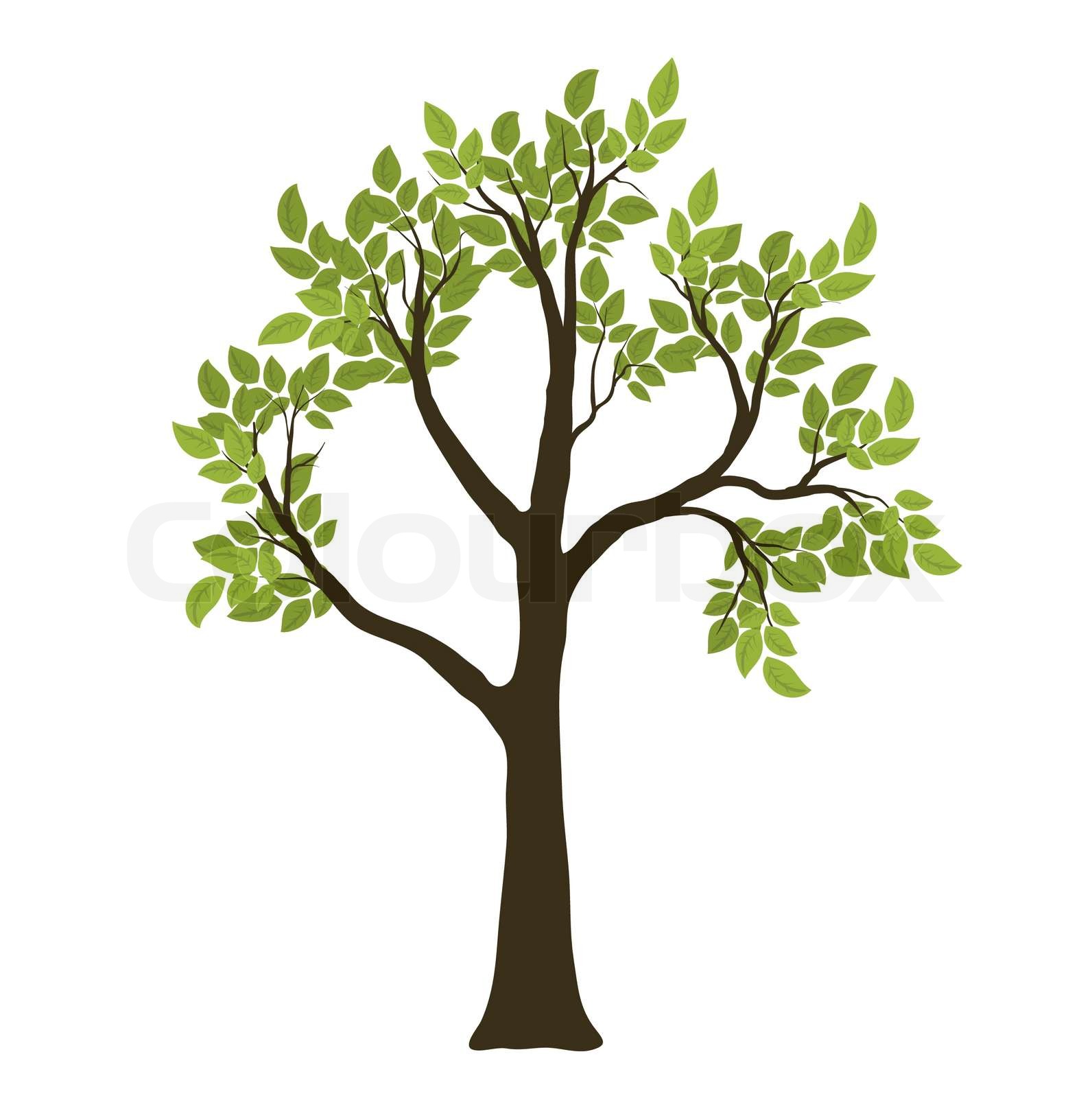 Green Vector Tree Nature Symbol | Stock vector | Colourbox