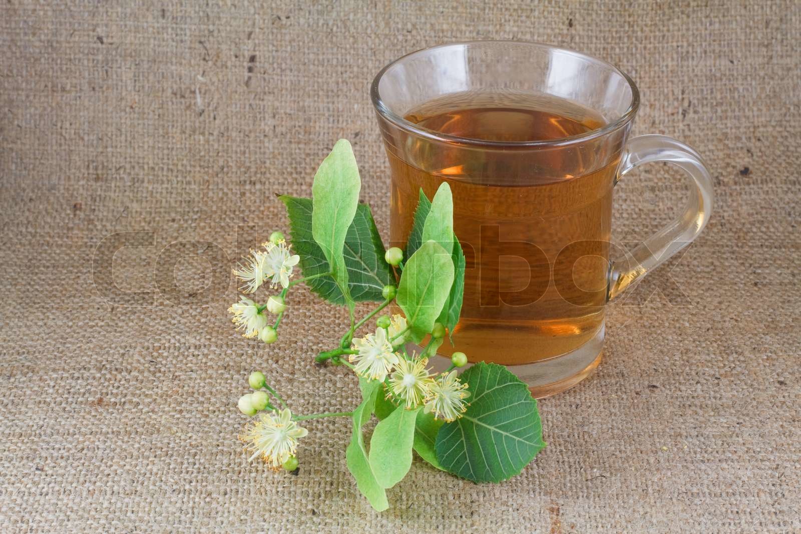 Linden-Tee | Stock Bild | Colourbox