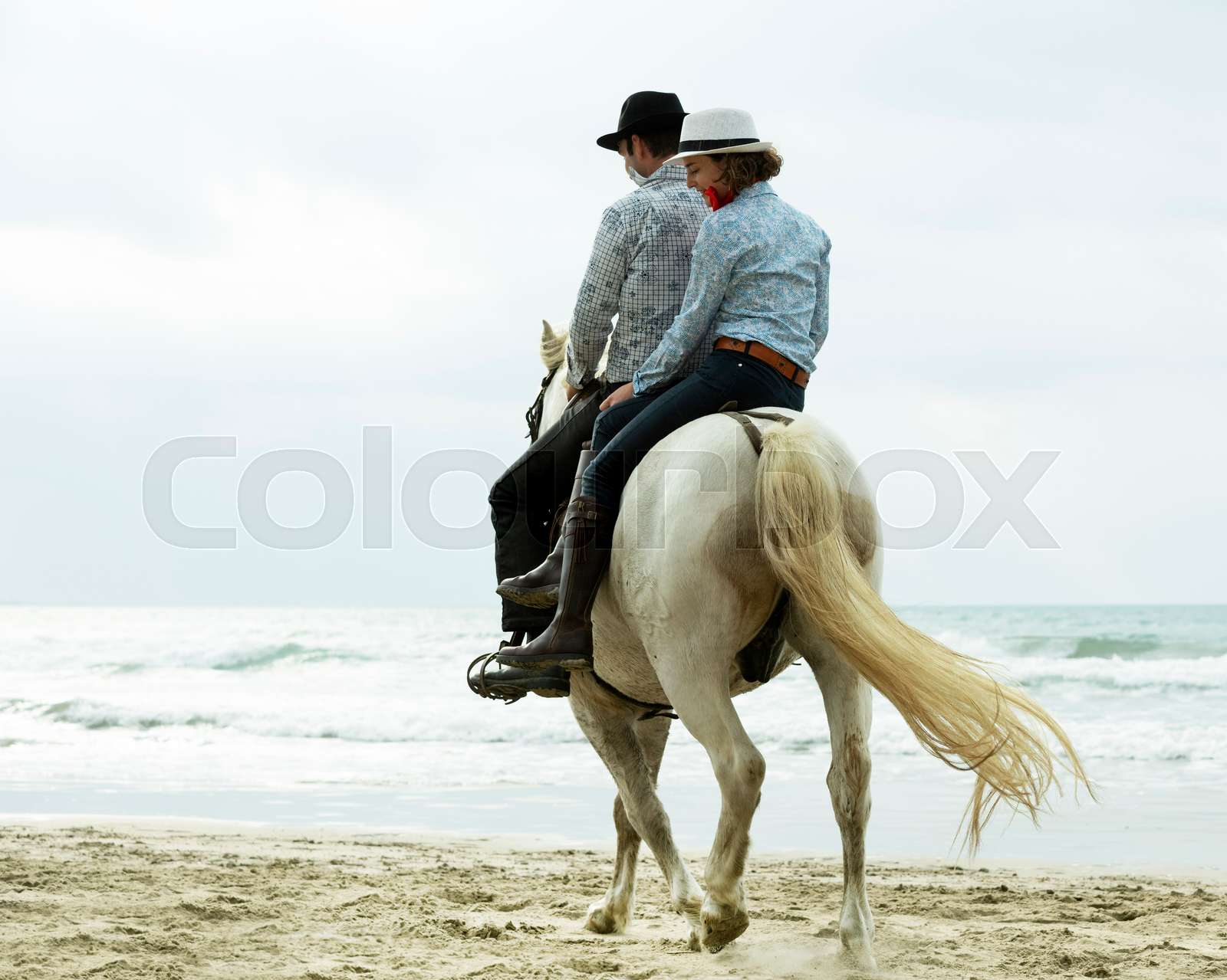 riders and horses | Stock image | Colourbox