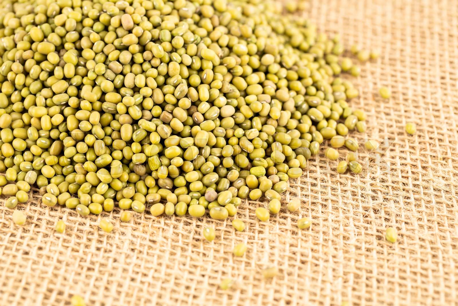 Mung beans | Stock image | Colourbox