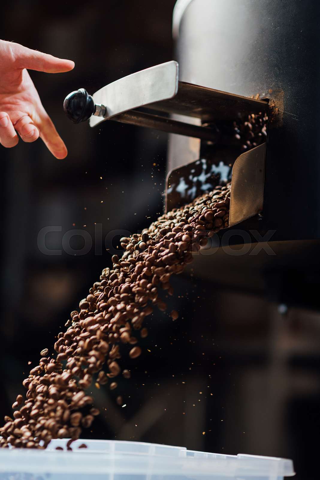 The flow of coffee beans from hand open flap of the cooling mixer of ...