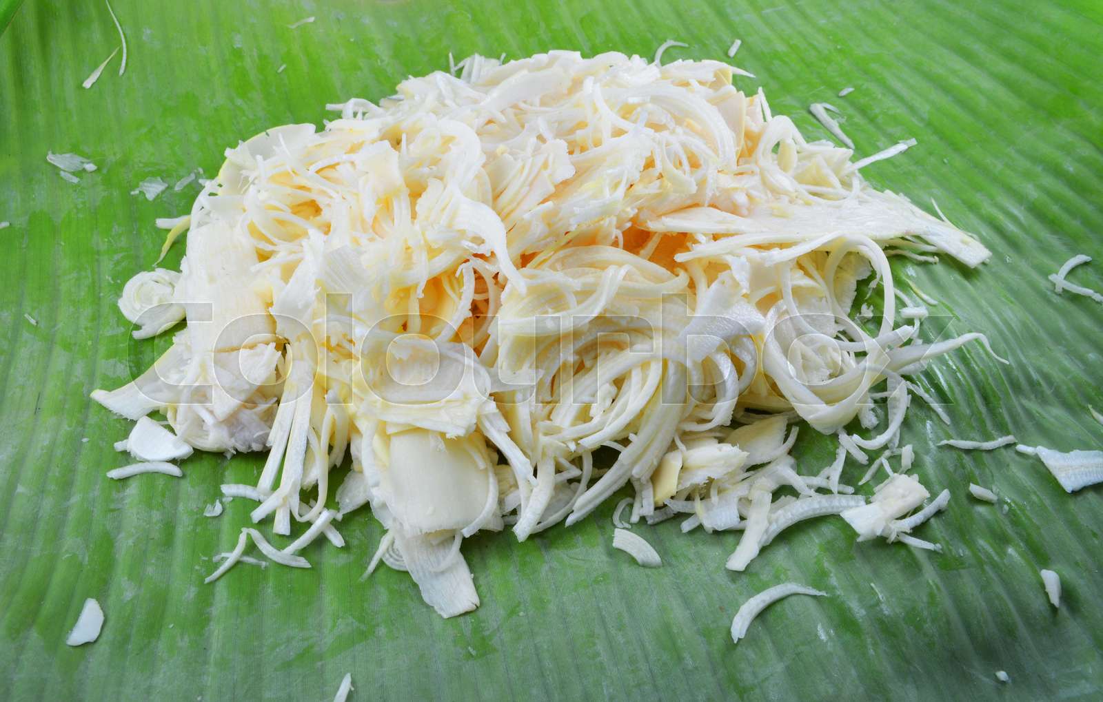 fresh bamboo shoot / slice of bamboo shoot shredded | Stock image ...