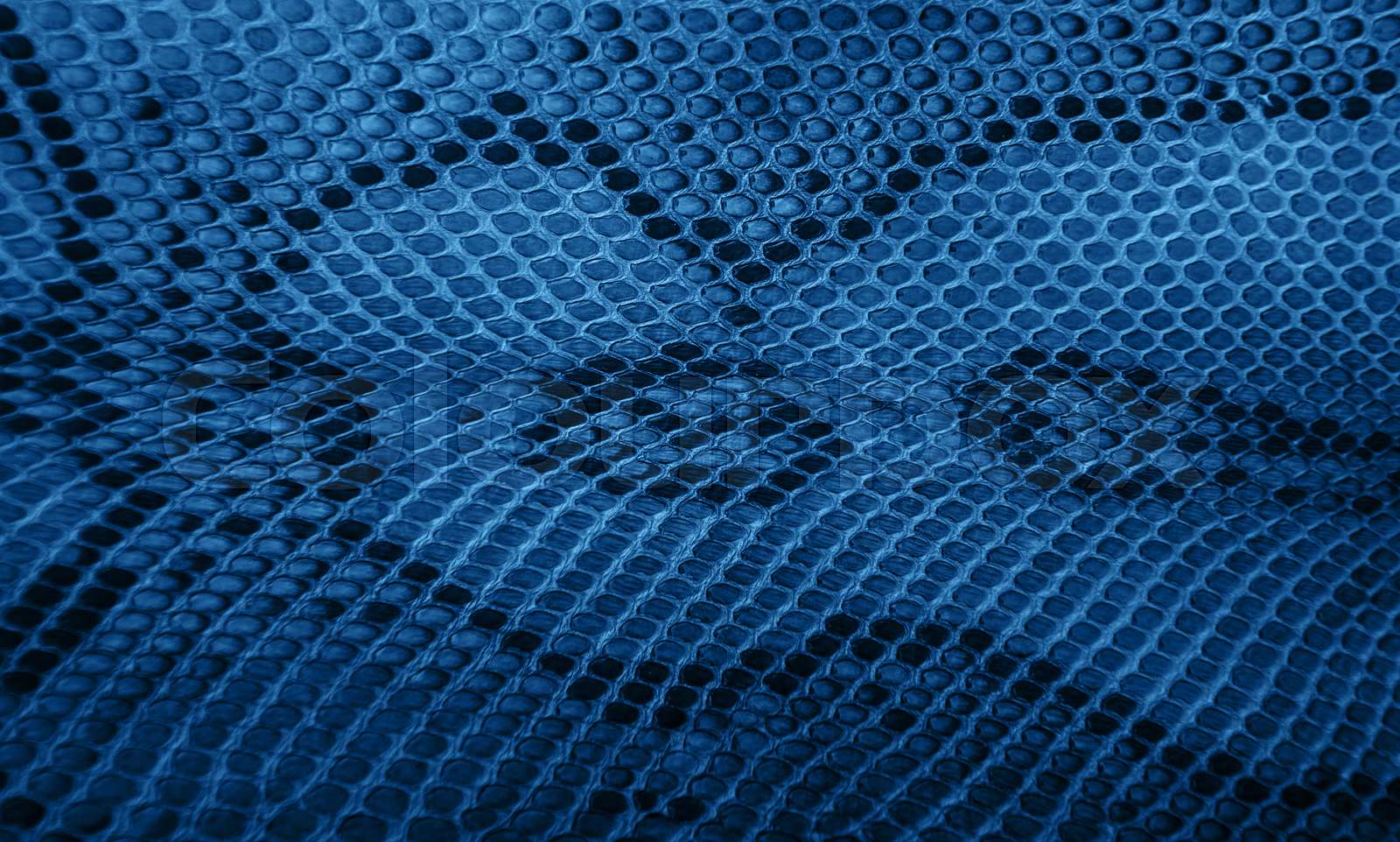 snake skin pattern toned classic blue color | Stock image | Colourbox