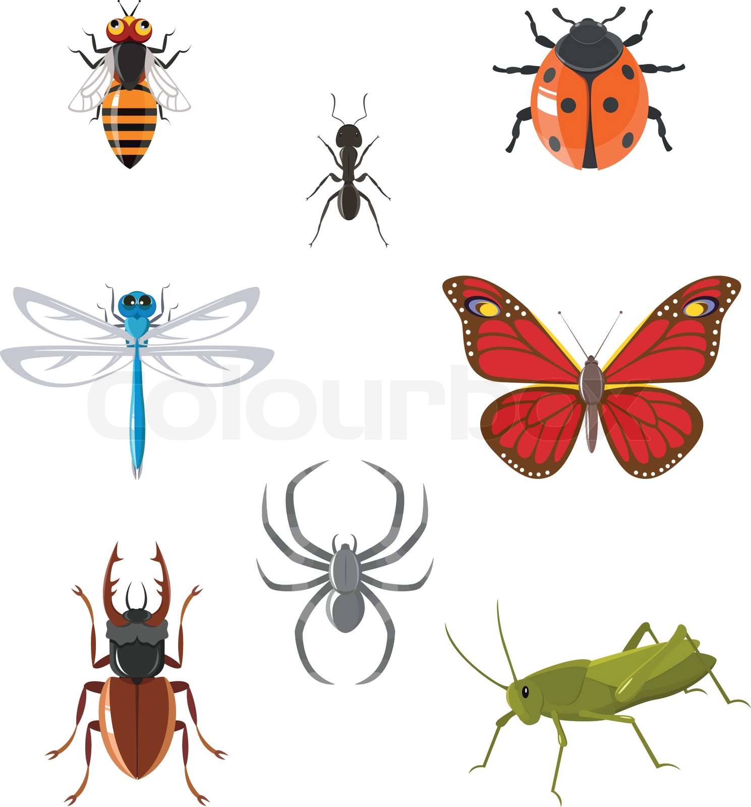Cartoon insect icon set | Stock vector | Colourbox
