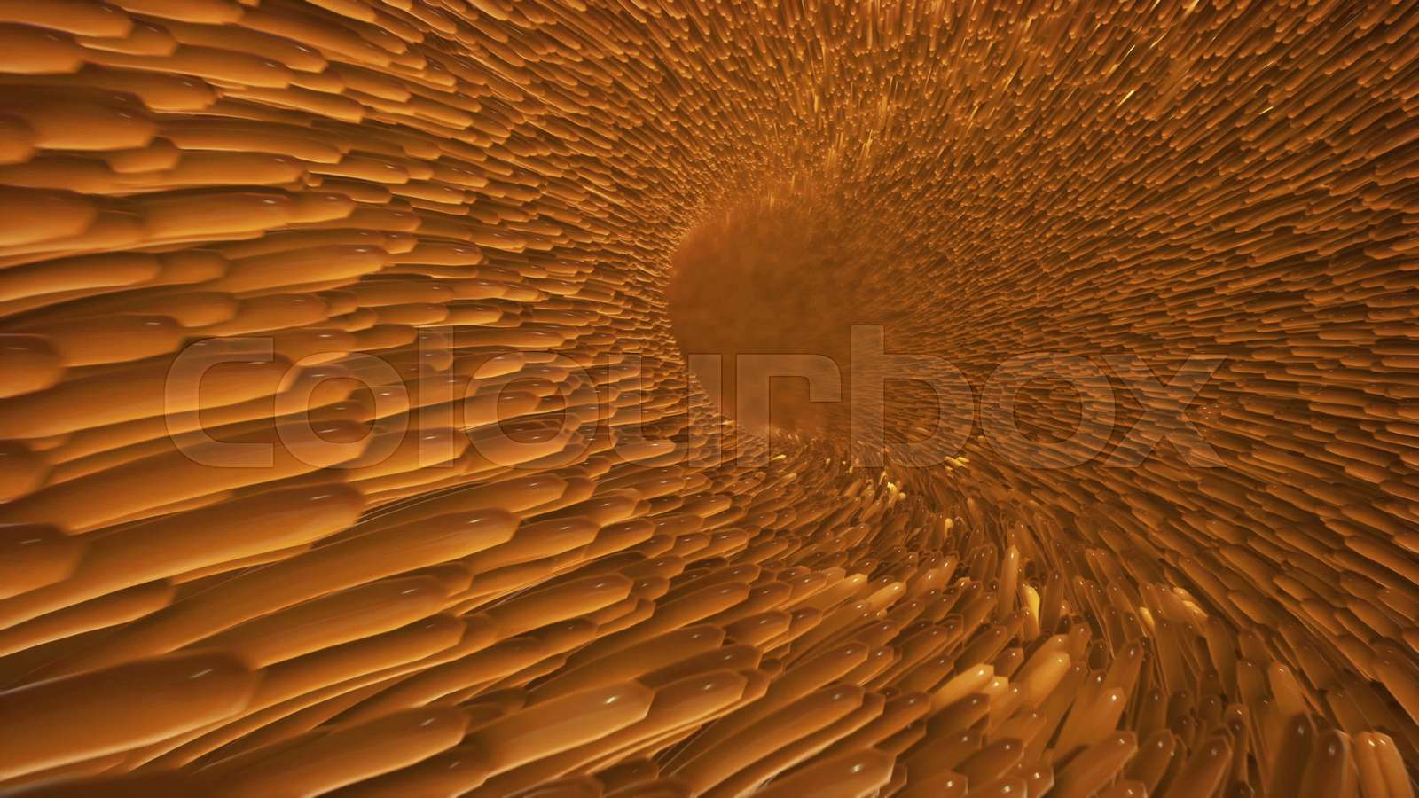 Illustration with villi for medical design. Human digestive system ...