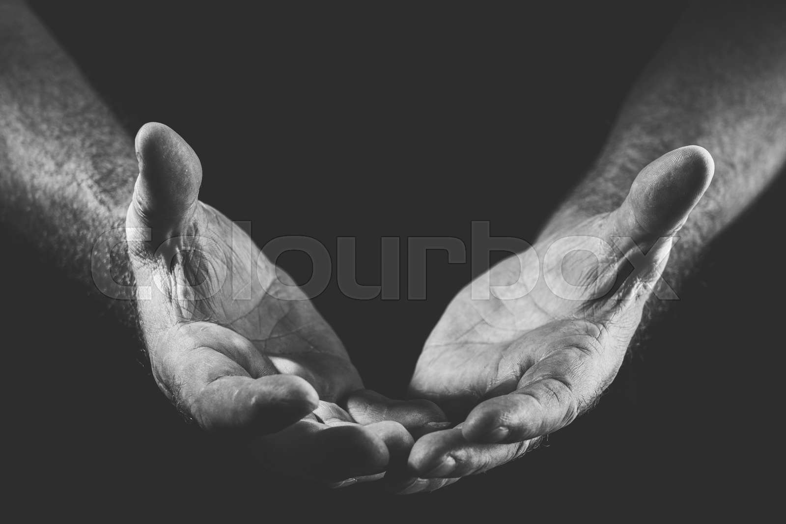 two hands open at the top, begging hands | Stock image | Colourbox
