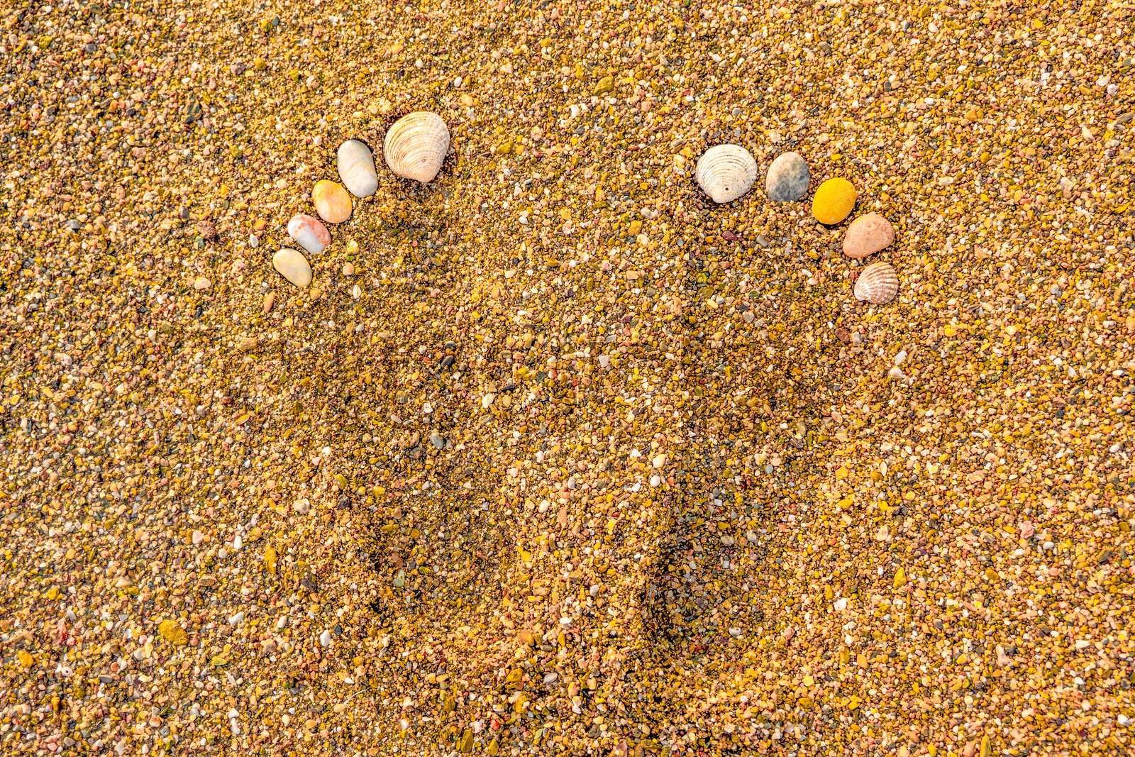 Seashell footprints on the beach. Footprints in the sand. Foot marks on ...