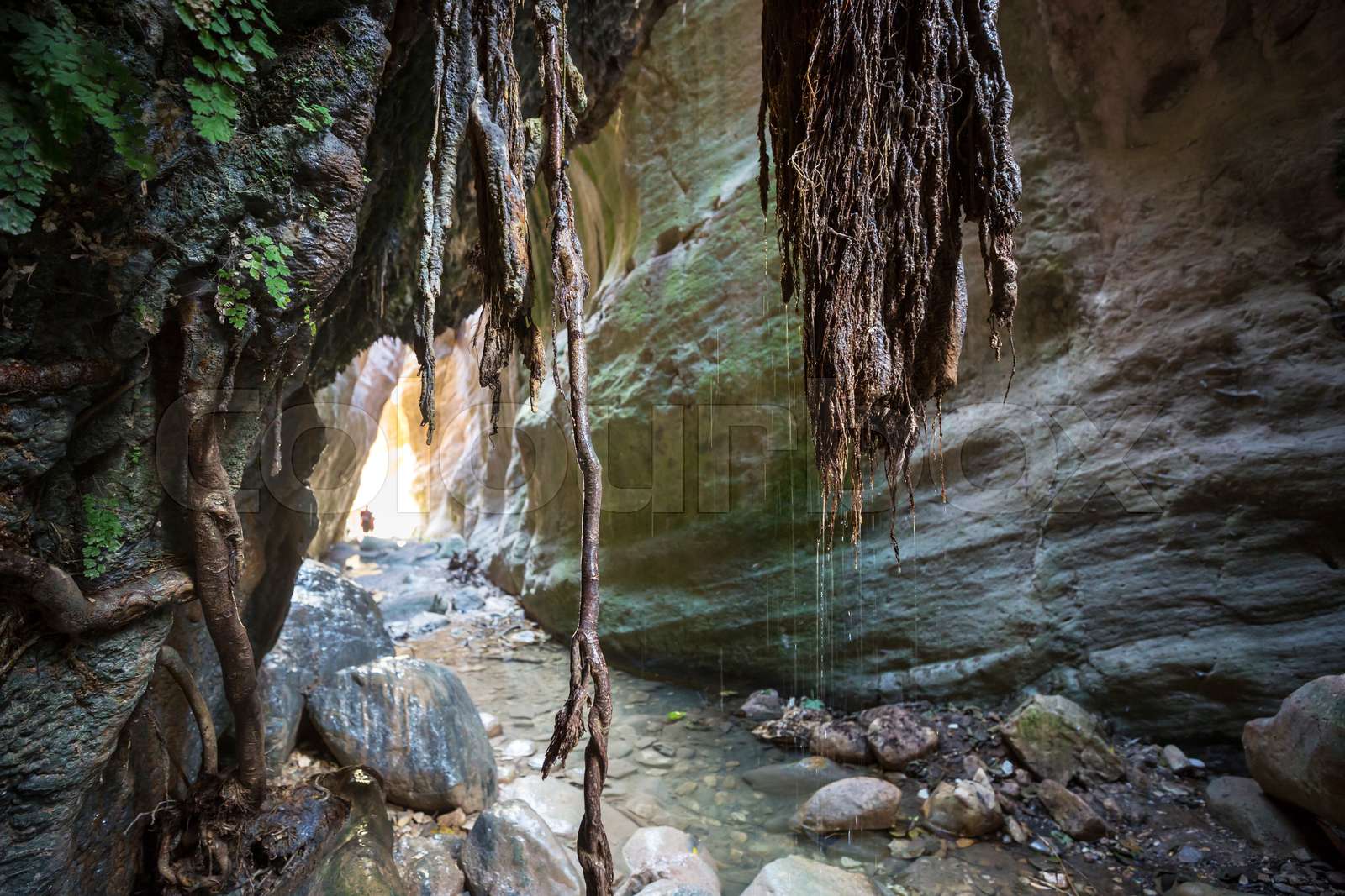 Canyon in Cyprus | Stock image | Colourbox
