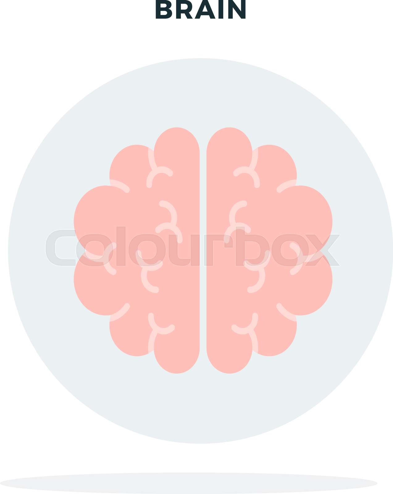 Human brain in a gray circle vector flat isolated | Stock vector ...