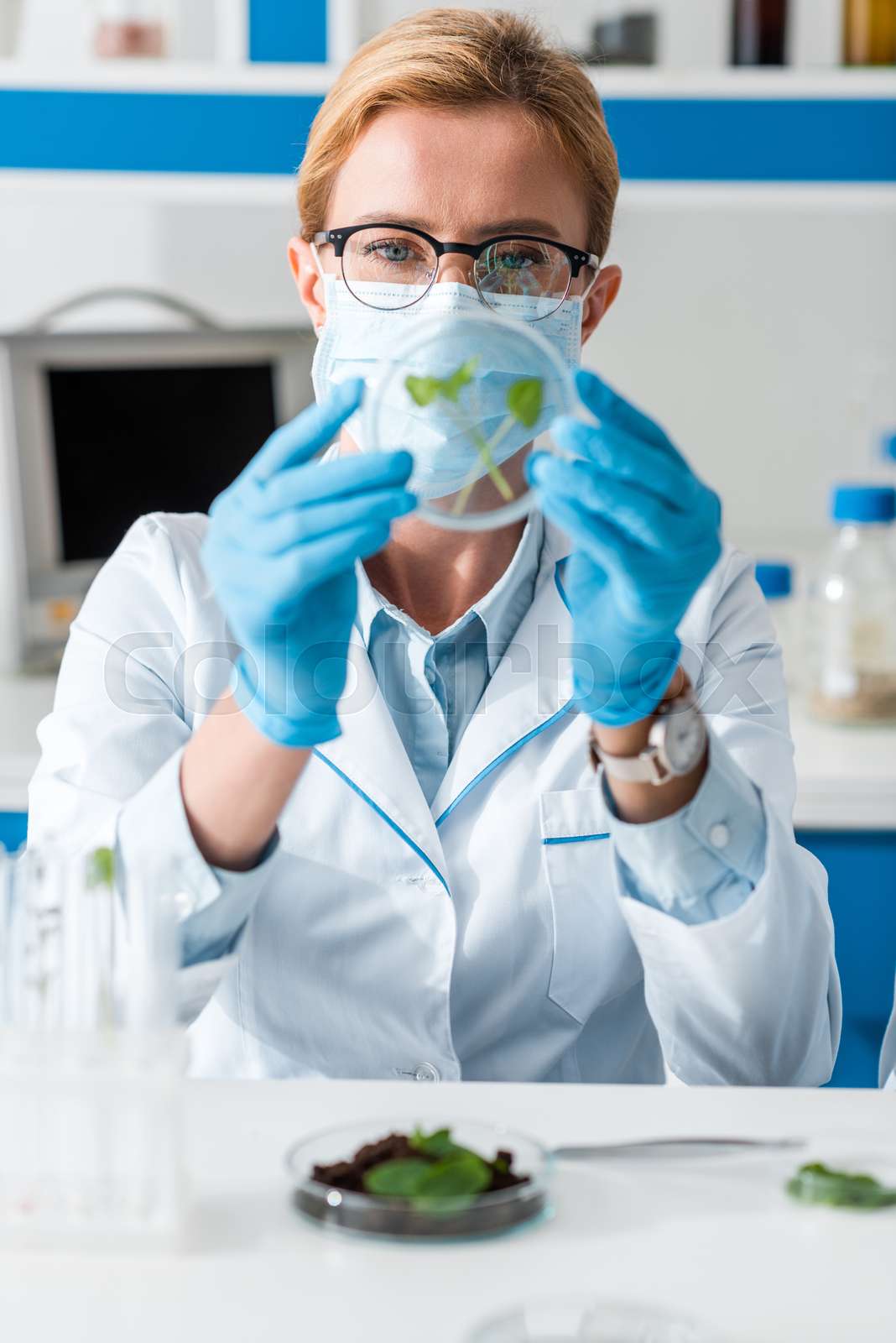 biologist in white coat looking at leaves in lab | Stock image | Colourbox