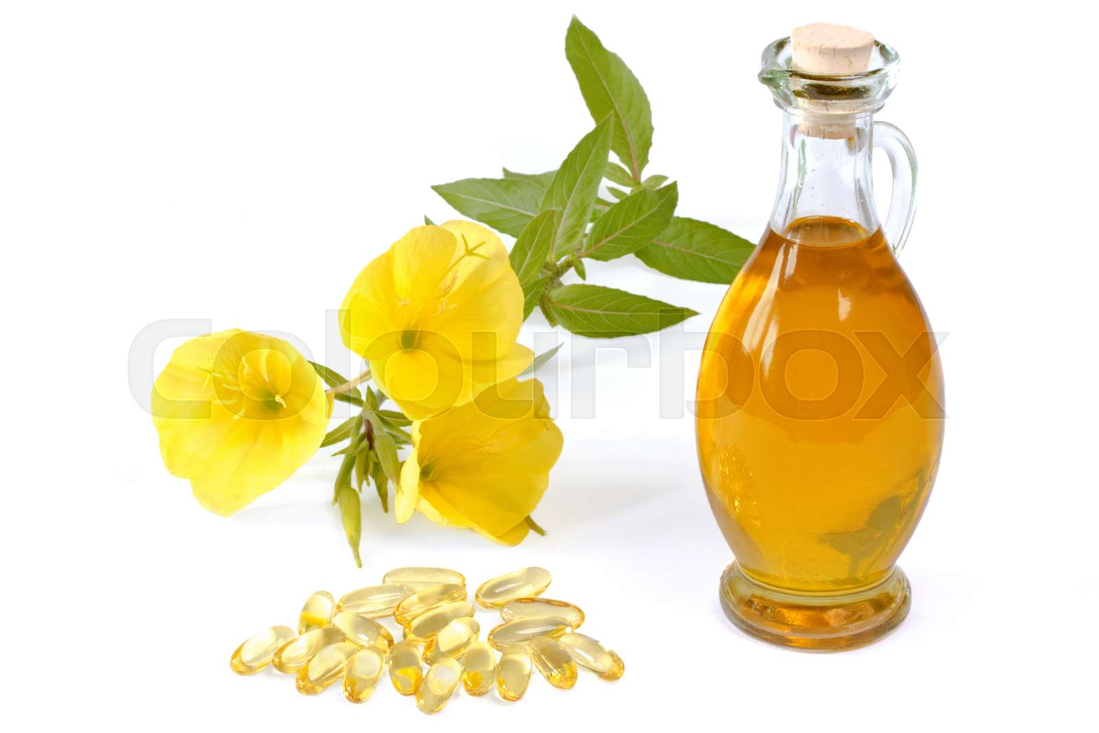 evening primrose oil with capsules | Stock image | Colourbox