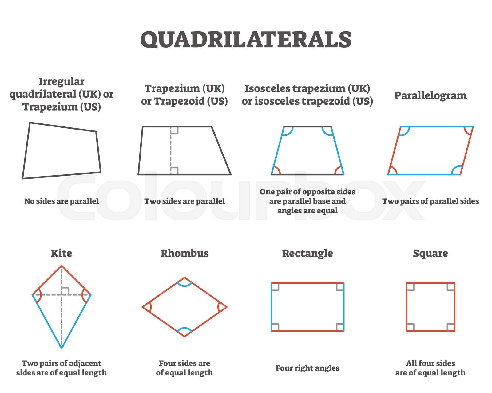 Quadrilaterals vector illustration. Labeled four side geometrical ...