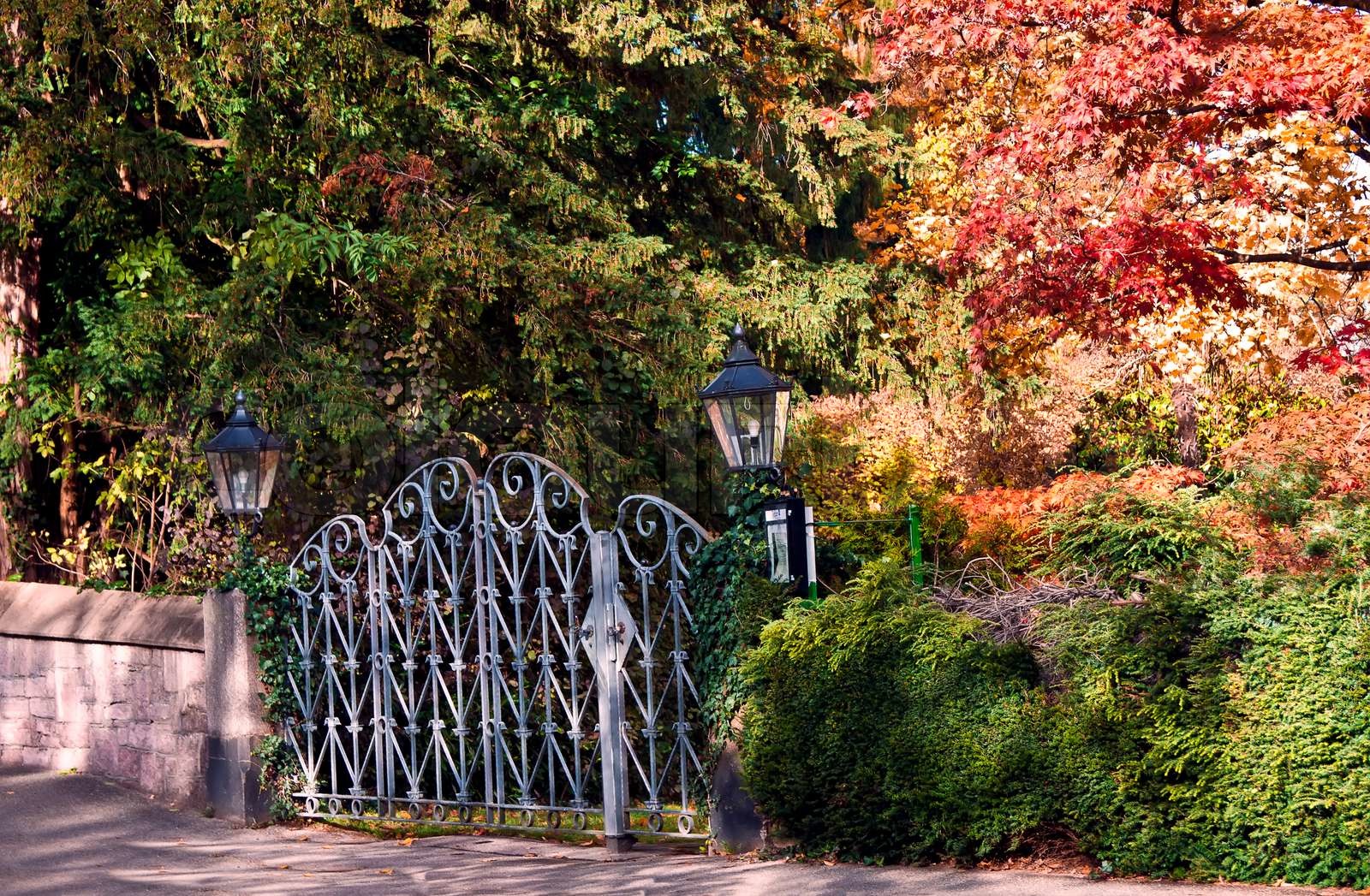 Metal gate at the entrance to the hotel | Stock image | Colourbox