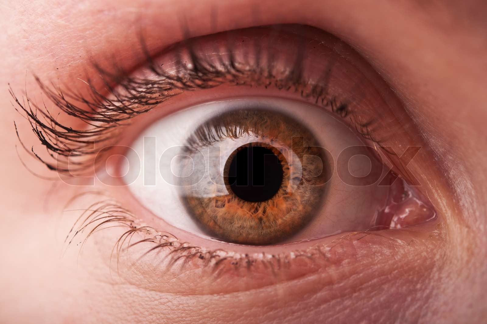 closeup of woman eye | Stock image | Colourbox