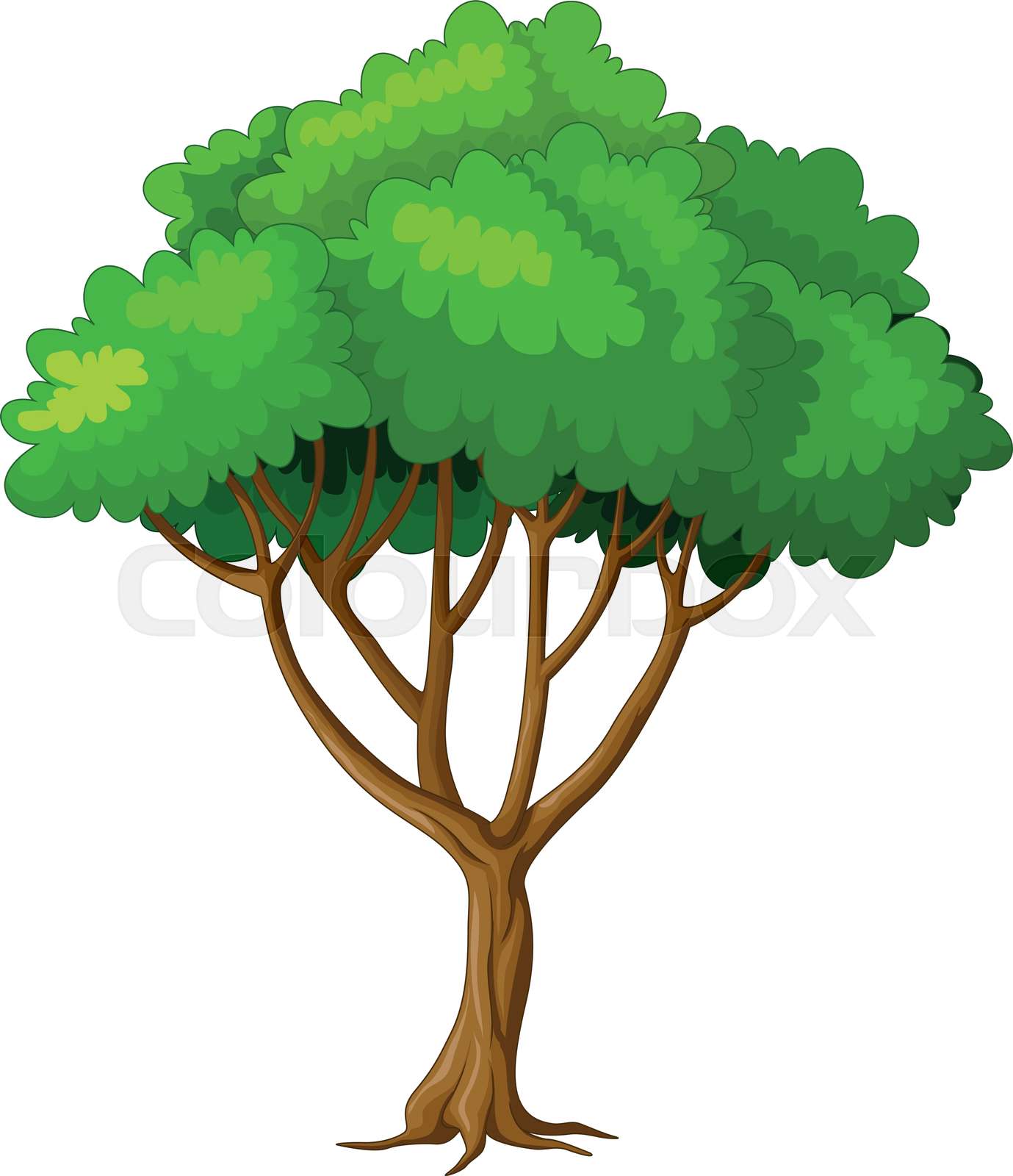 Green Leaf Tree Cartoon | Stock vector | Colourbox