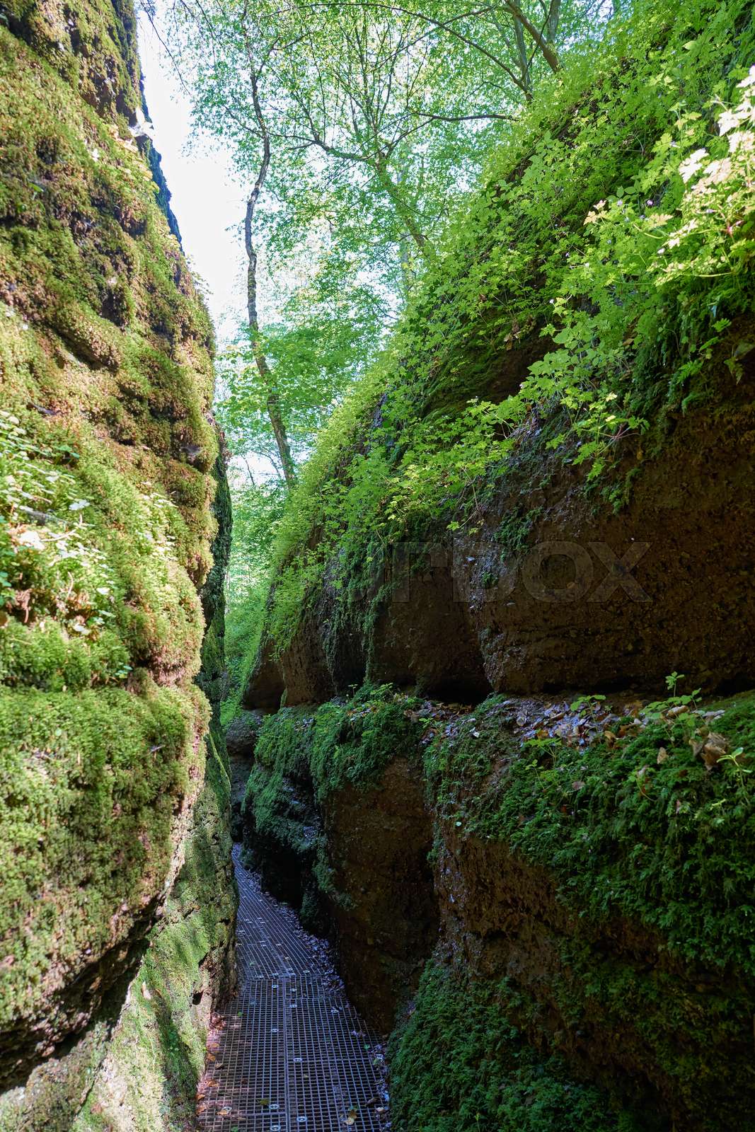 Dragon Gorge near Eisenach | Stock image | Colourbox