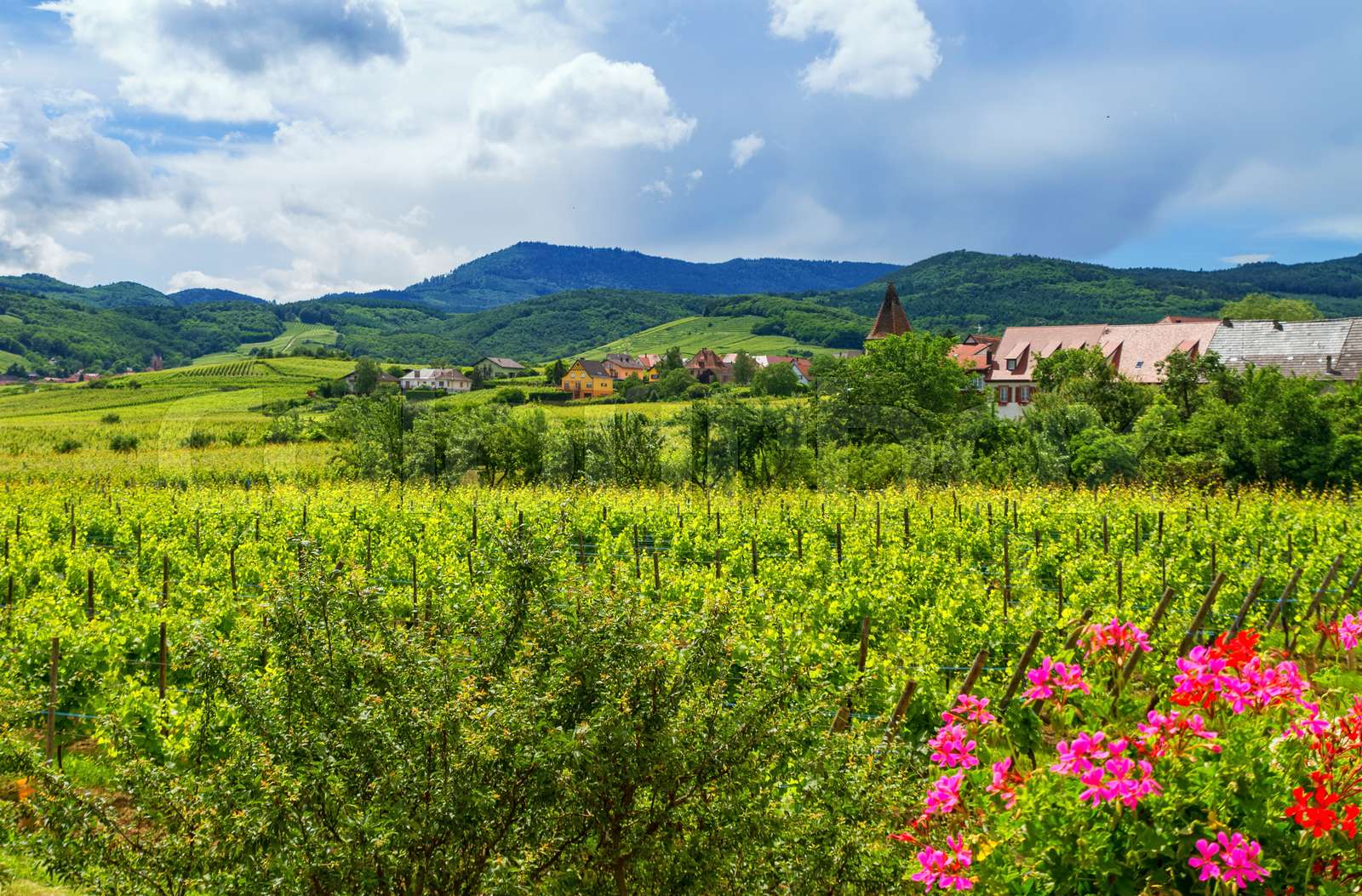 Alsace landscape, France | Stock image | Colourbox